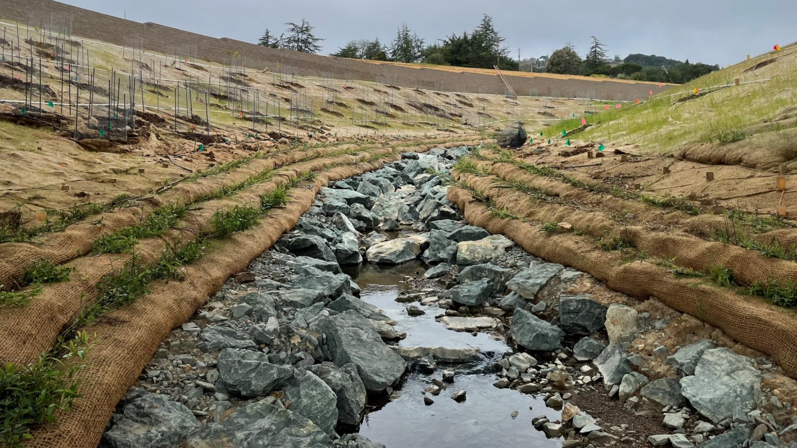 Oak Knoll Mixed-Use Community Development - WRA Environmental Consultants