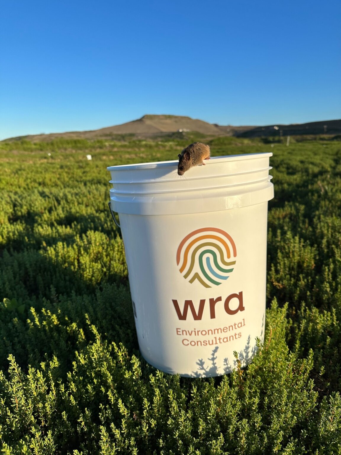 Home - WRA Environmental Consultants