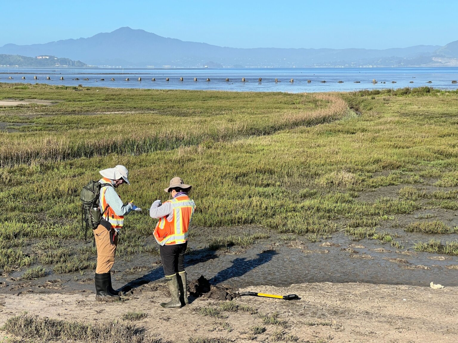 Hamlin Nature Park Open Space Master Plan - WRA Environmental Consultants
